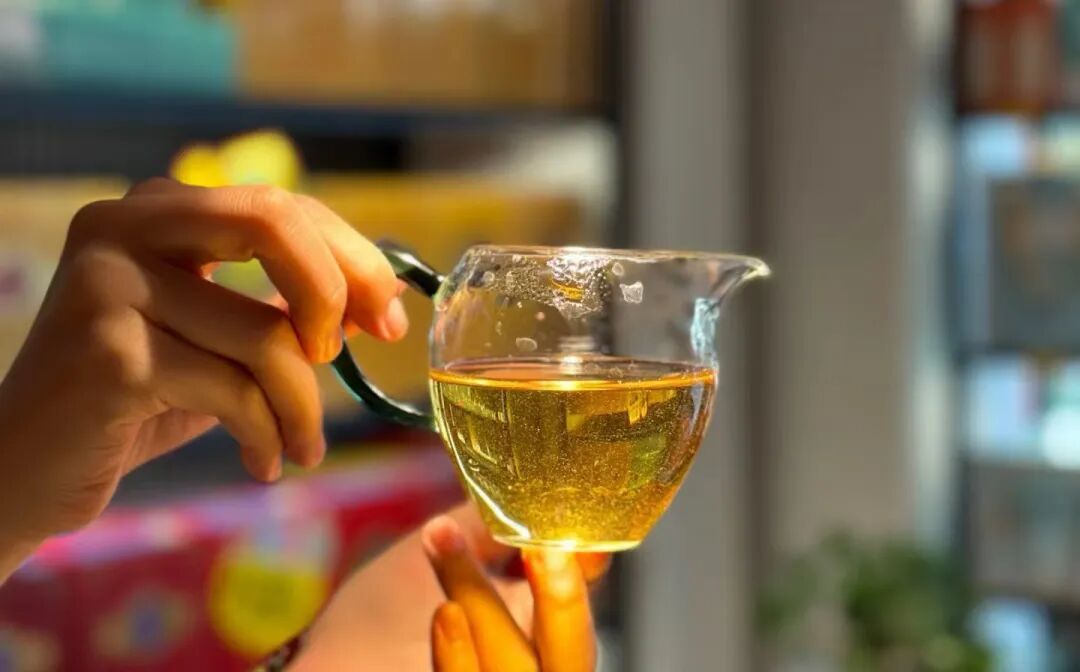 临沧茶的崛起及探索之路_云南看点_社会频道_云南网